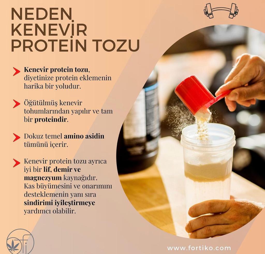 Kenevir Tohumu Protein Tozu – fortiko.com.tr